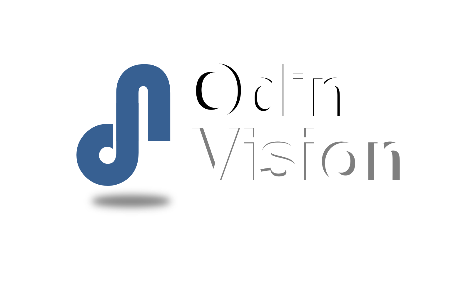 Team - Odin Vision